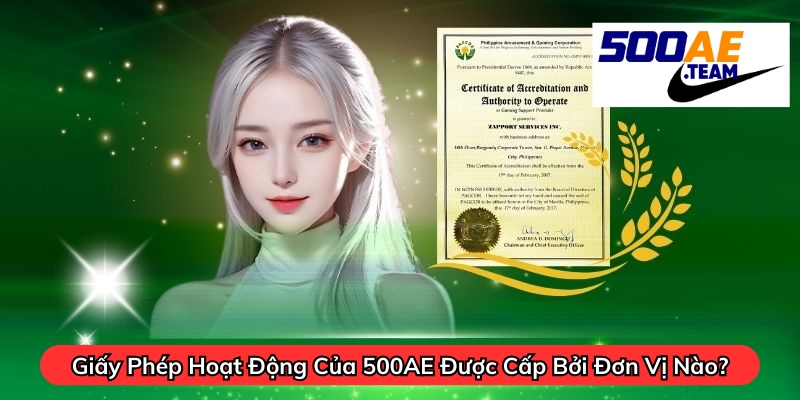Giấy Phép Hoạt Động Của 500AE Được Cấp Bởi Đơn Vị Nào?
